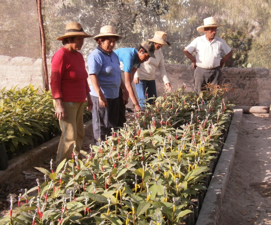 Milpo-Fortalecimiento de capacidades | Perú País Minero – Sociedad ...